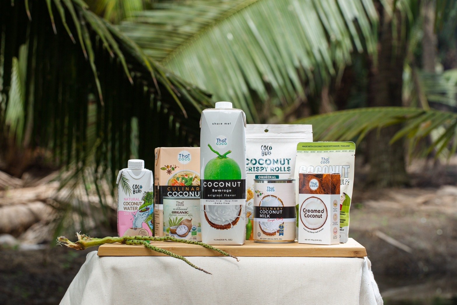 COCOCO เดินหน้าสร้างภาพลักษณ์ “มะพร้าวไทย” สู่ตลาดโลก ตอกย้ำผู้นำนวัตกรรมพร้อมมุ่งสู่การเติบโต ...